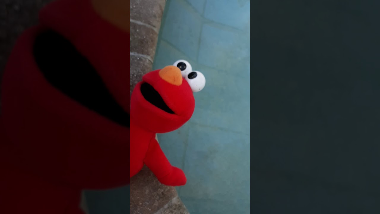 Elmo in the pool. - YouTube
