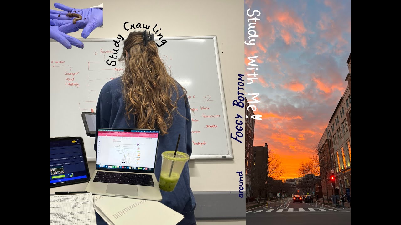 Study crawling in dc | unfiltered vlog - YouTube