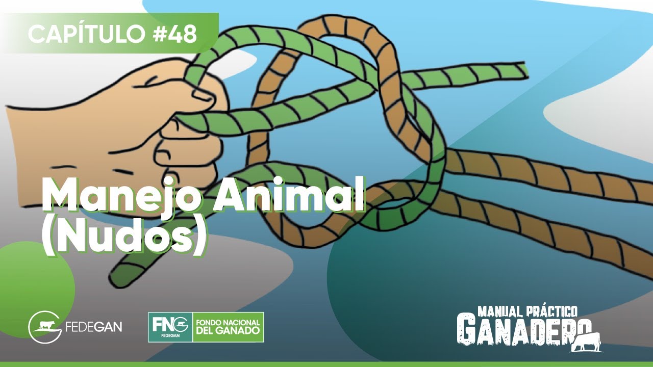 Cap 48 - (Nudos) Manejo Animal - YouTube