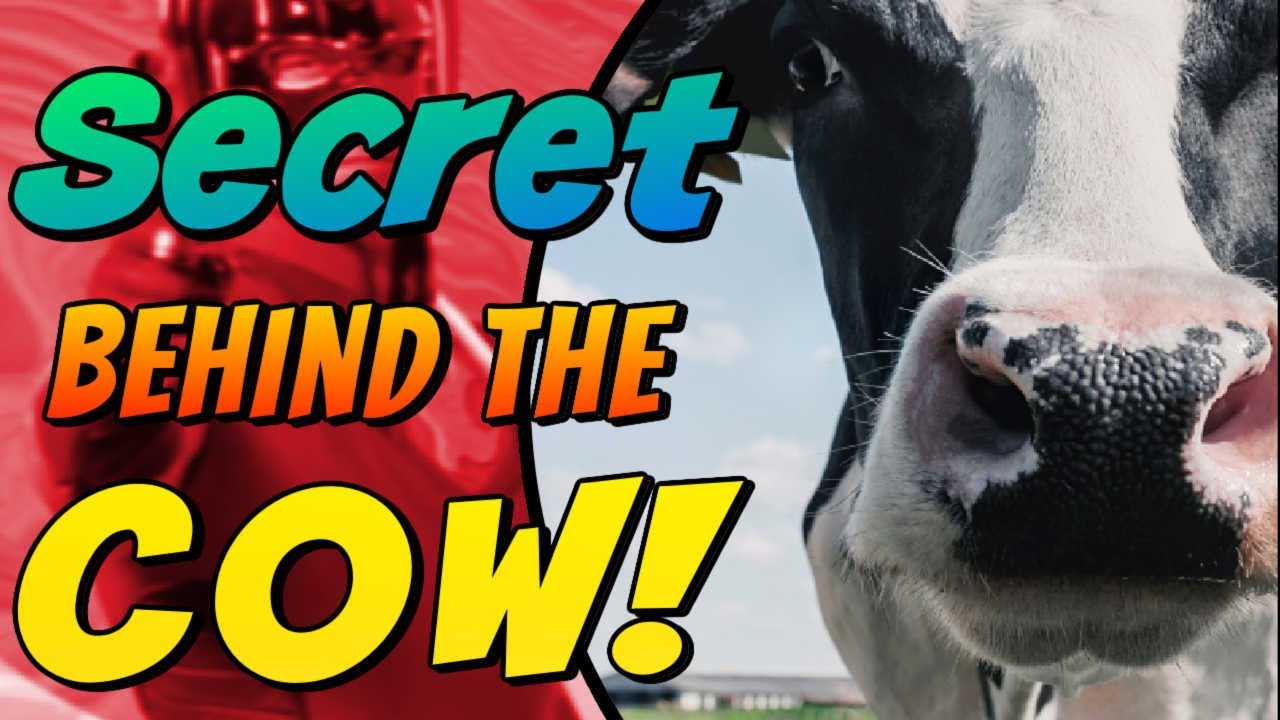 What is the Cow In Peacemaker? | Peacemaker Theories - YouTube