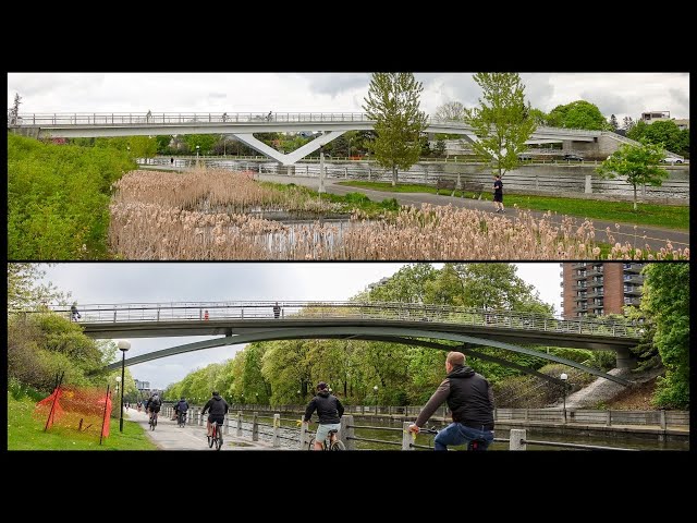 Rideau Canal Bridges I Love Checking Out The Rideau Canal At The