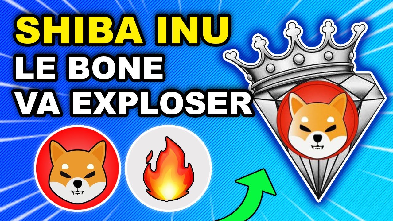 🚨 SHIBA INU : BONE SE PREPARE POUR L'EXPLOSION 🚀 357% DE HAUSSE 🔥WALLET ...