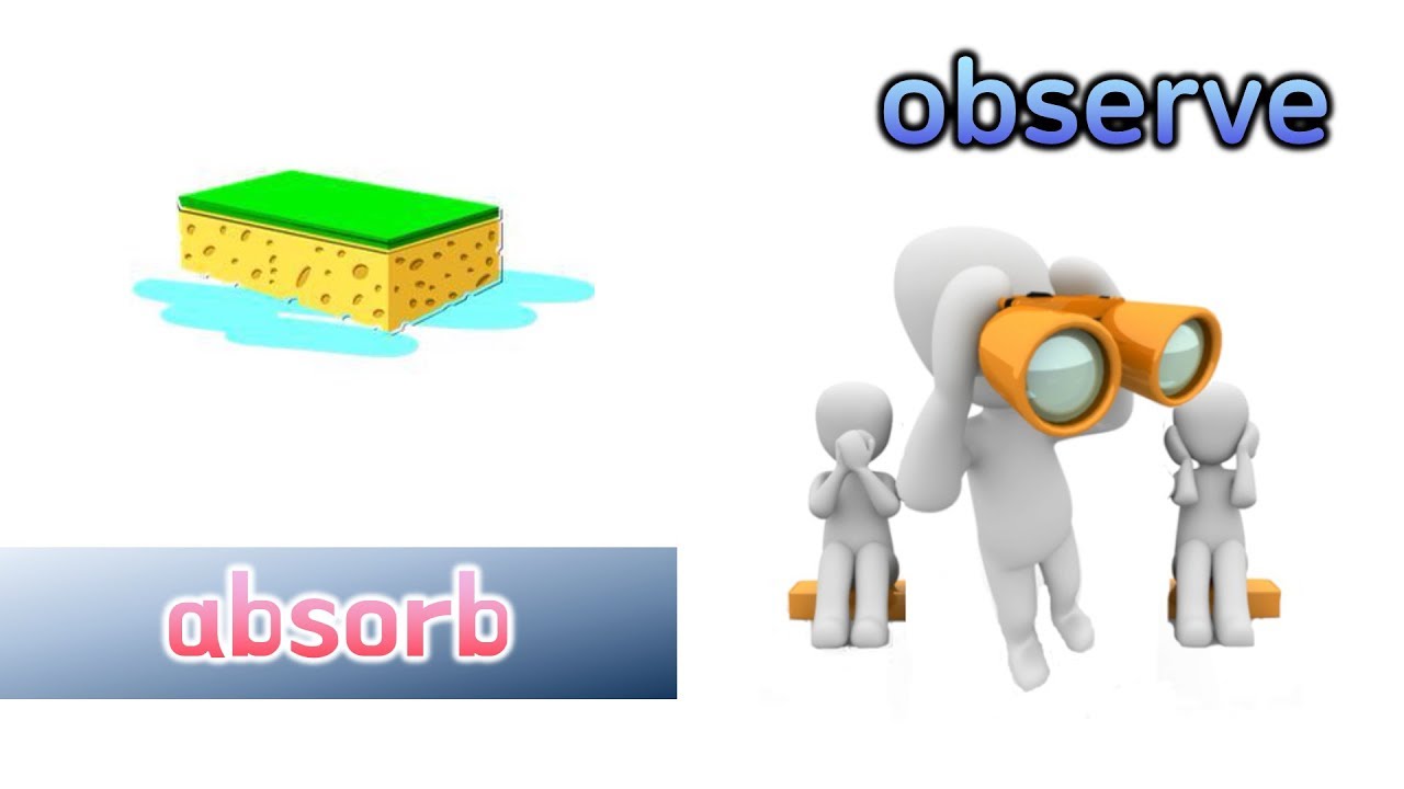 헷갈리는 어휘 absorb vs observe - YouTube