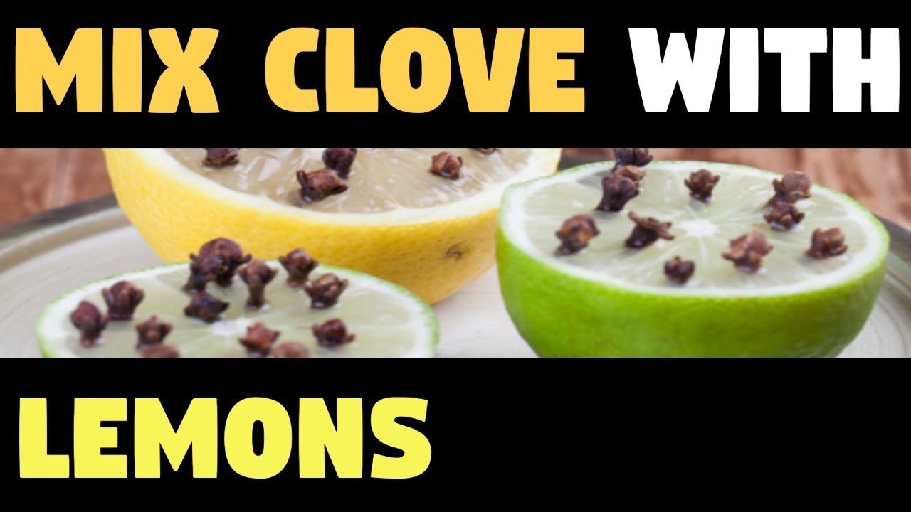 Look What Happens When you MIX CLOVE WITH LEMON INTERESTING!! - YouTube