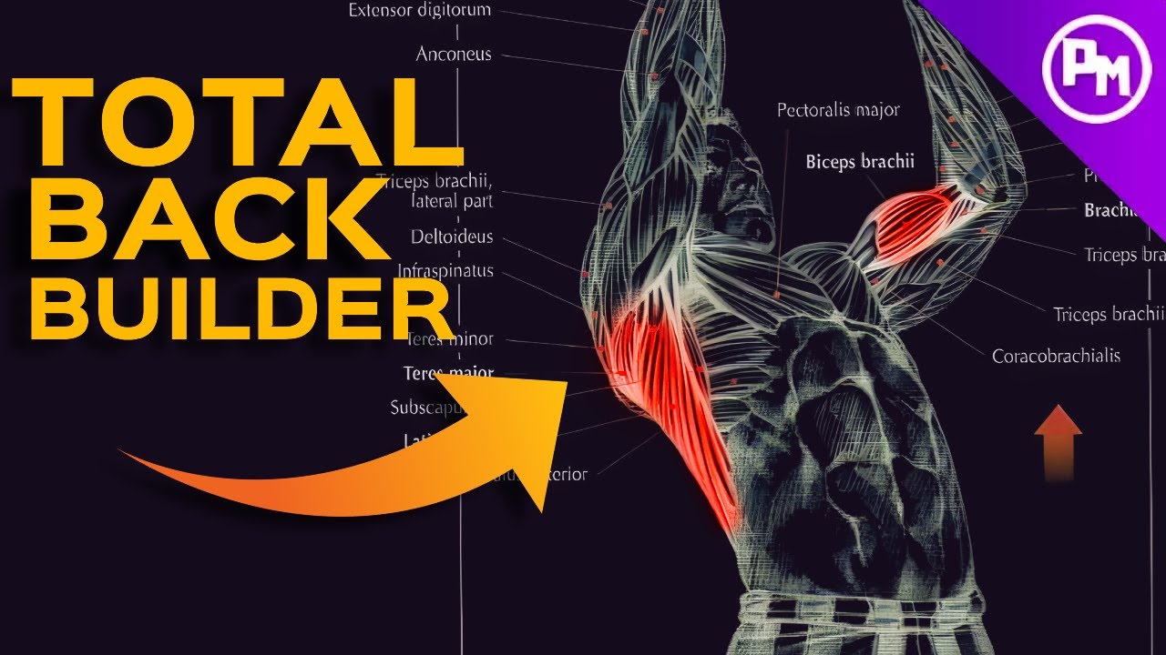 The MOST COMPLETE Back Builder - YouTube
