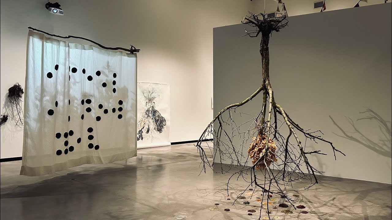 In the Garden of Exquisite Unknown exhibition. Siobhán Humston - YouTube