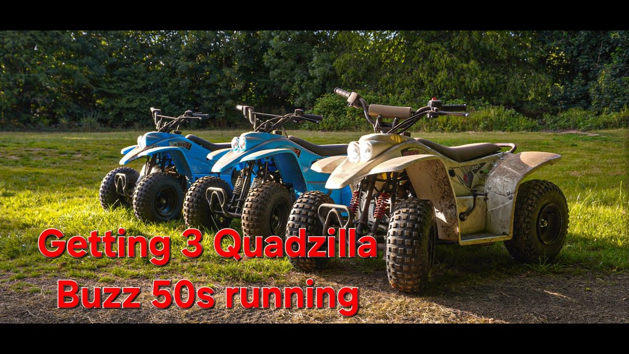 Getting 3 Quadzilla Buzz 50s Running After 2 Years - YouTube