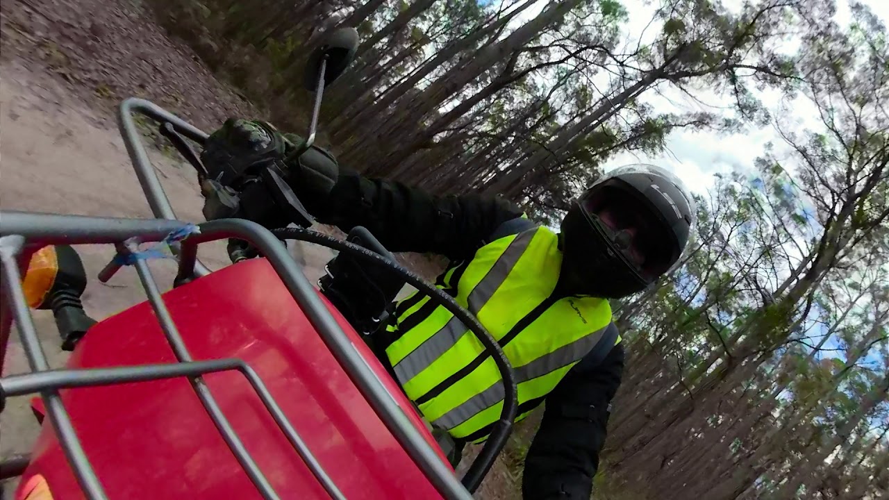 Alberton west state forest A360 Video 20 - YouTube