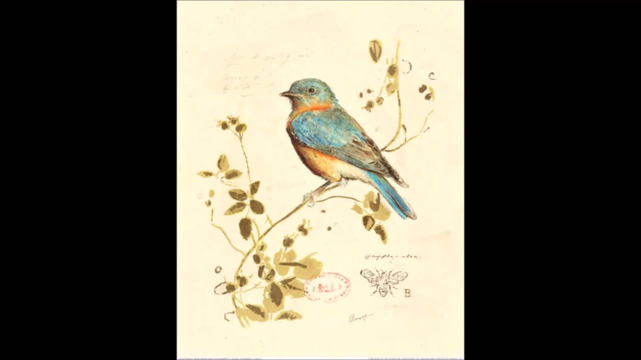 Birdy- Skinny Love (acapella cover by Sarah Ruehle) - YouTube