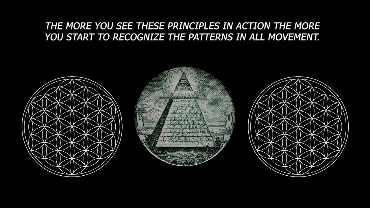 The Power of Pattern Recognition and Intuition in combat sports extract ...