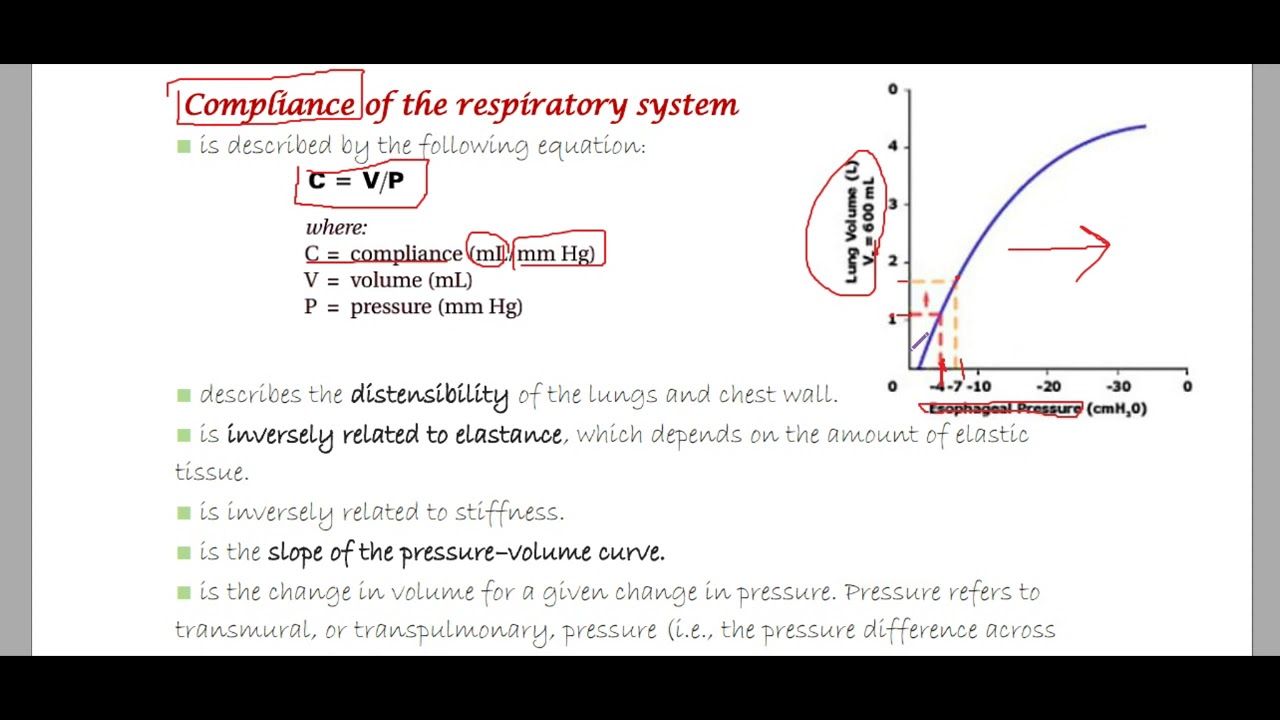 7 Compliance of the respiratory system 1.1st year MBBS Respiratory ...