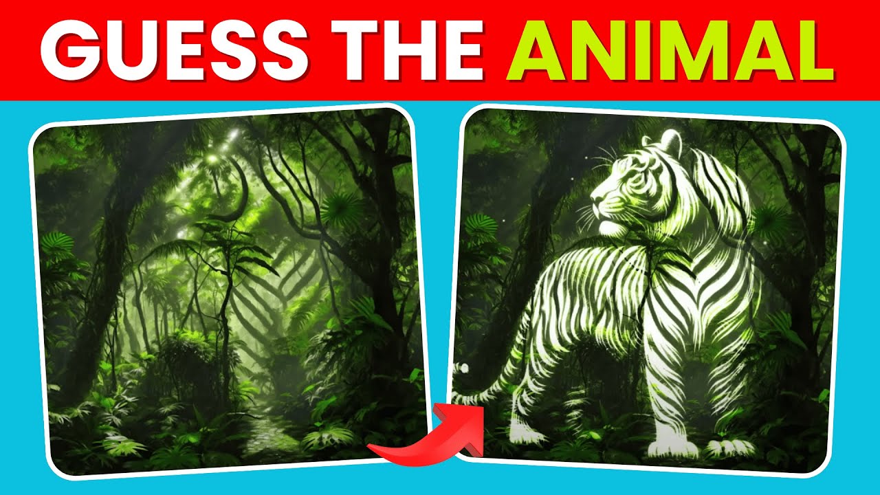 Guess the Hidden Animal by ILLUSION 🐶🐵🐈 Easy, Medium, Hard levels Quiz ...