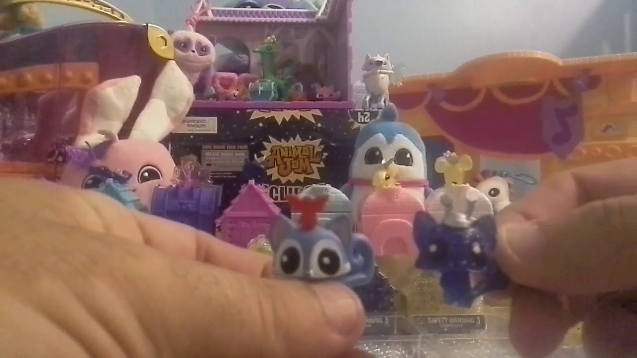 Solar eclipse adopt a pets - YouTube