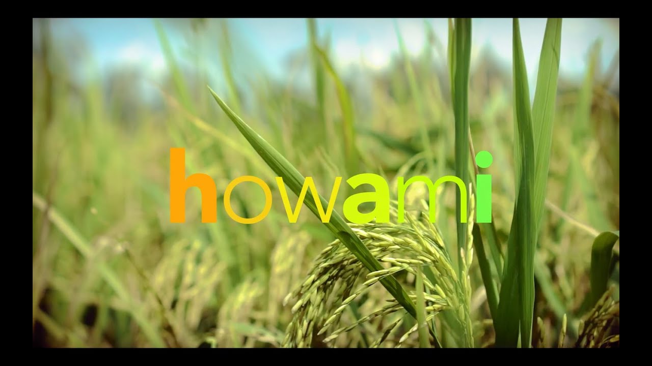 Howami - YouTube