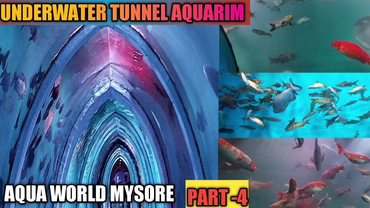 UNDERWATER TUNNEL AQUARIUM | MYSORE TOURIST PLACES |LOKARANJAN AQUA ...