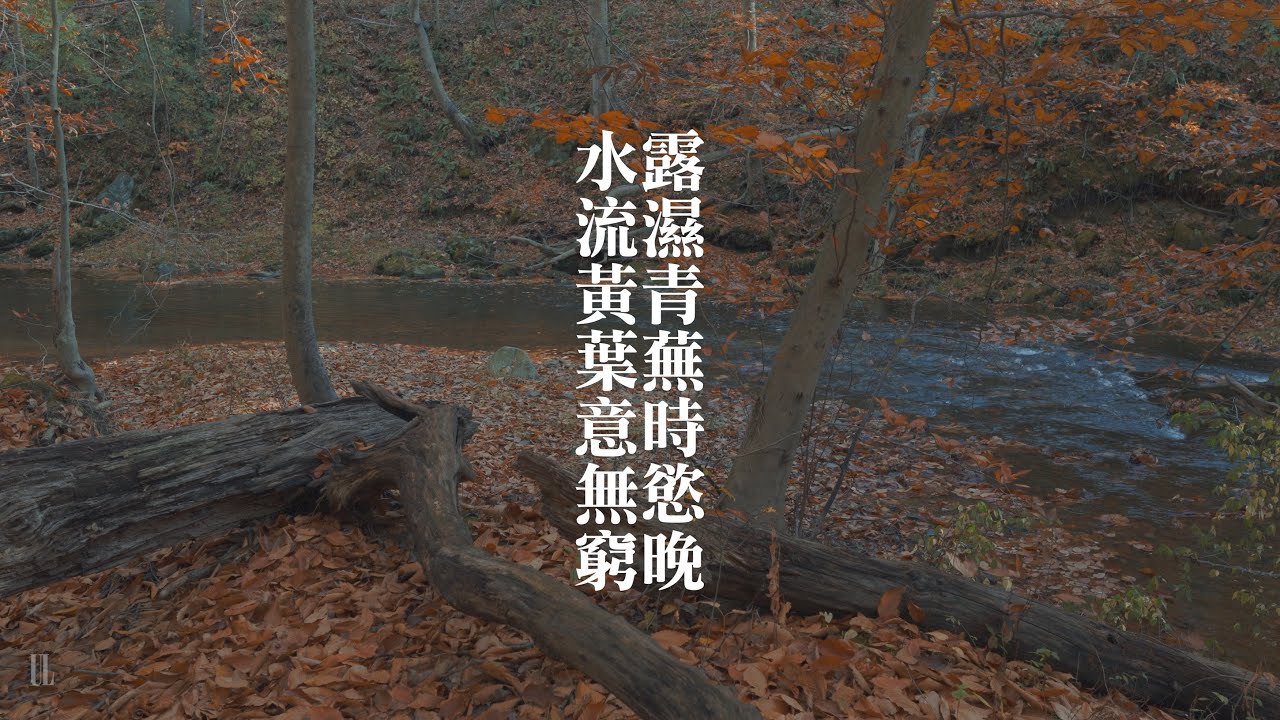 深秋佈滿落葉的溪流 Nature Sounds, 4K , Useless Landscape #030 - YouTube