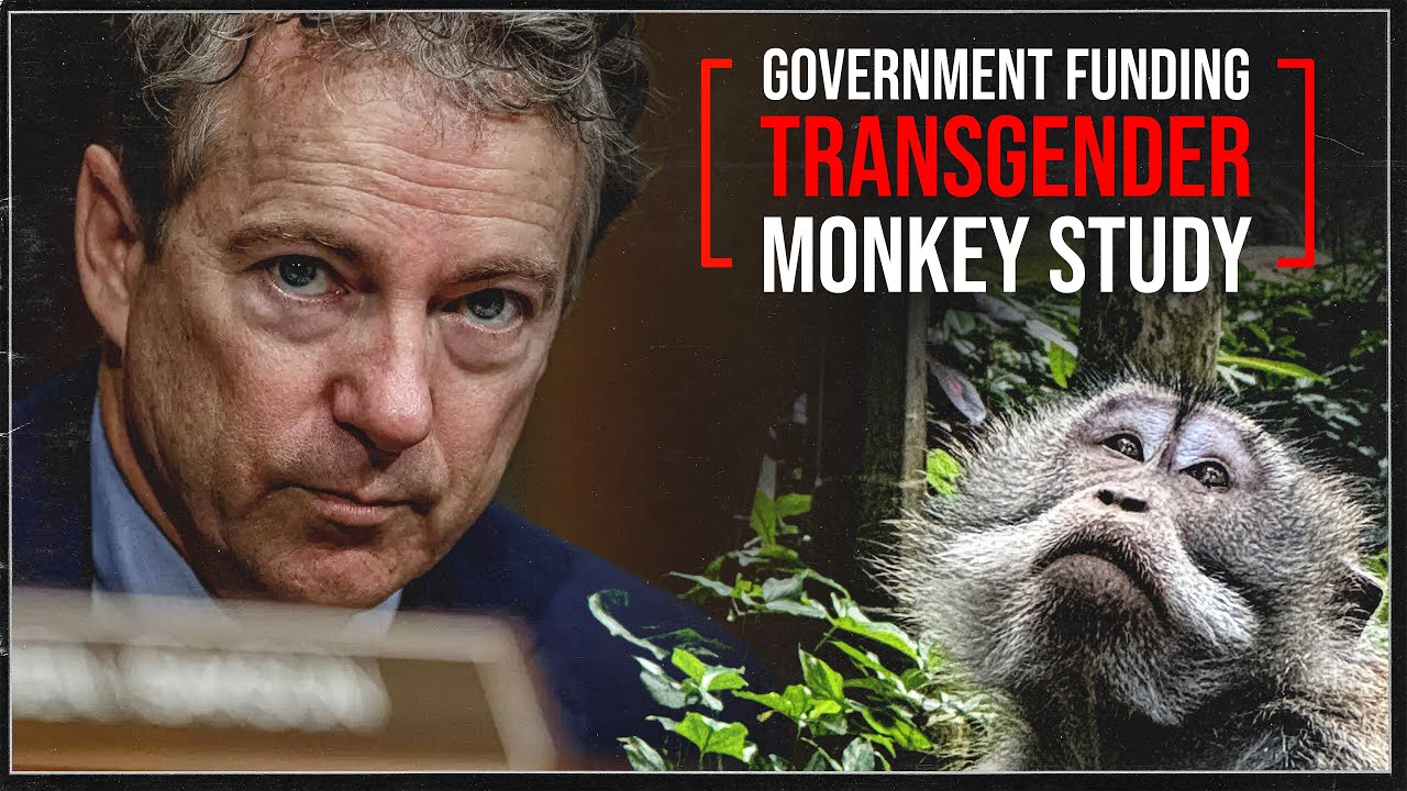 Transgender Monkeys - Rand Paul's List of Grievances - YouTube