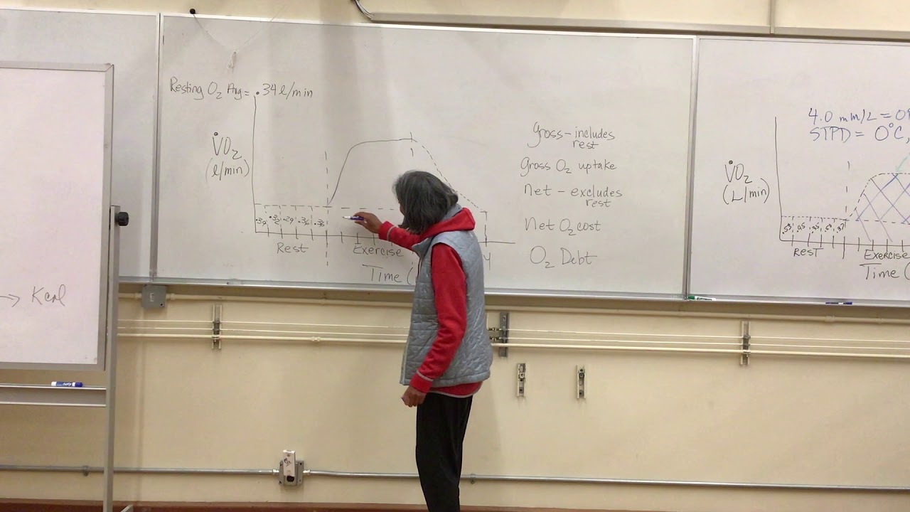 02 Uptake, Efficiency, and RER equations - YouTube