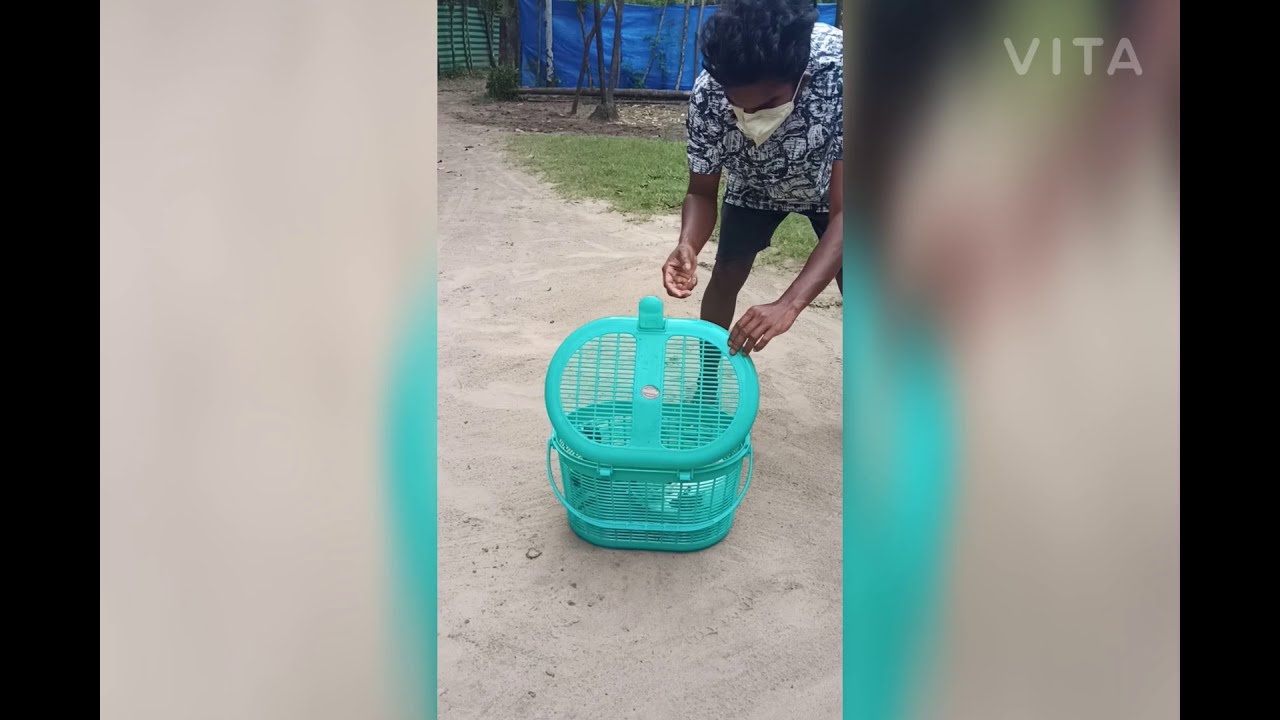 racing homerine ഒന്ന് പറപ്പിച്ചപ്പോൾ 2. km training😜 - YouTube