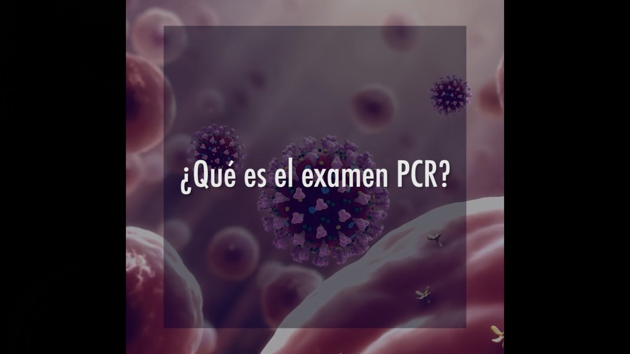 ¿Qué es el examen PCR? - YouTube