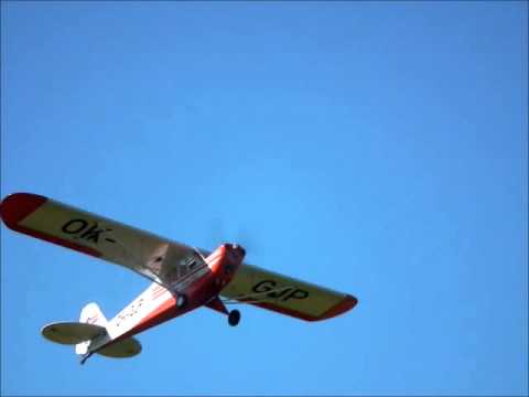 George's Cub 2013