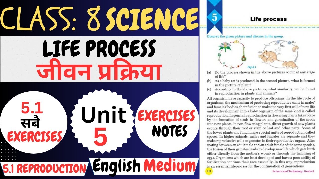 Class 8 Science Unit 5 Life Process Exercises || 8th Science Unit 5 ...