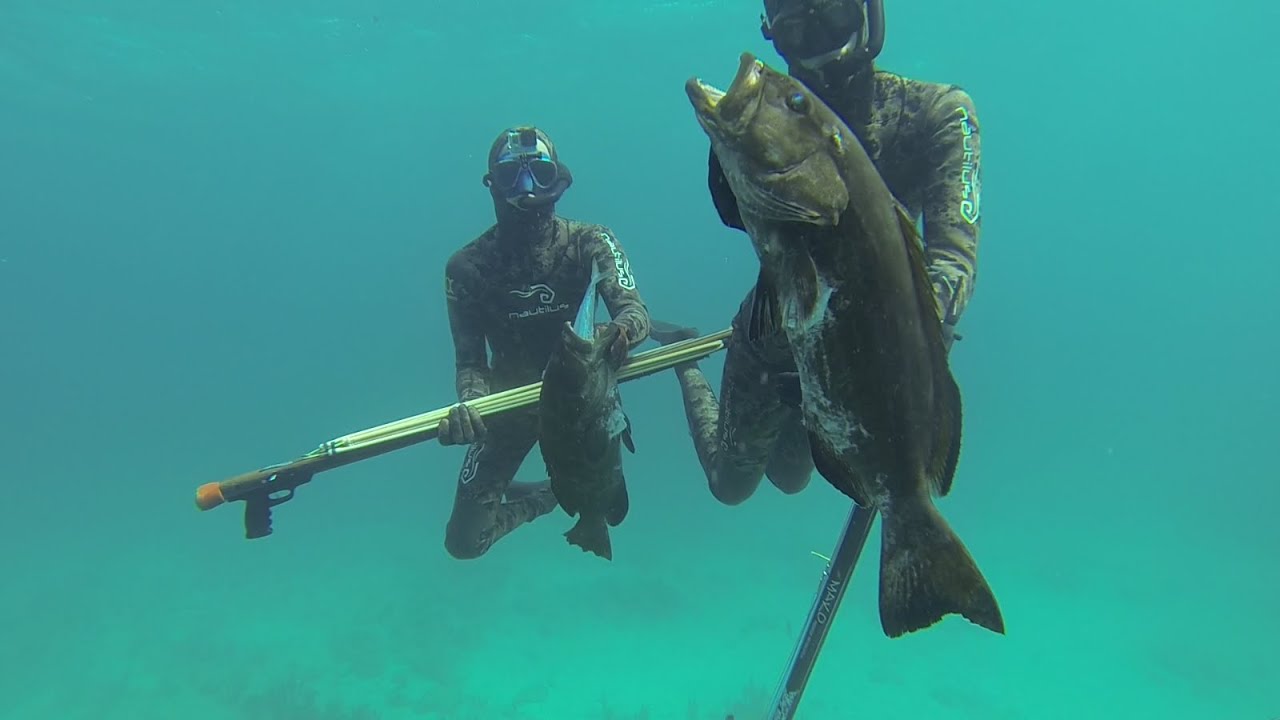 Life In Blue Spearfishing SouthFlorida 2014 - YouTube