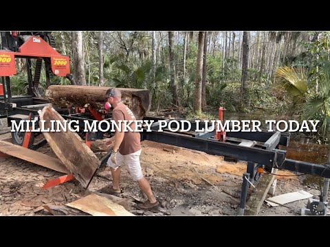 Milling Monkey pod log into dimensional lumber. #sawmill #exotic #wood ...