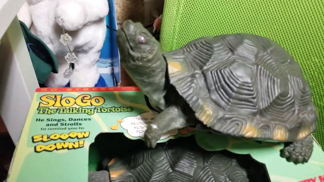 2 Slogo Singing Crawling Tortoise Turtles - YouTube