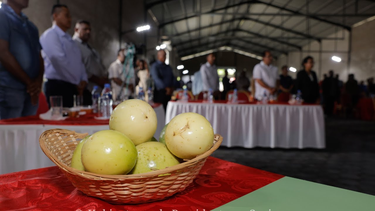 Van Visie Tot Realisatie ( Suriname Lanceert Markoesa-project voor ...