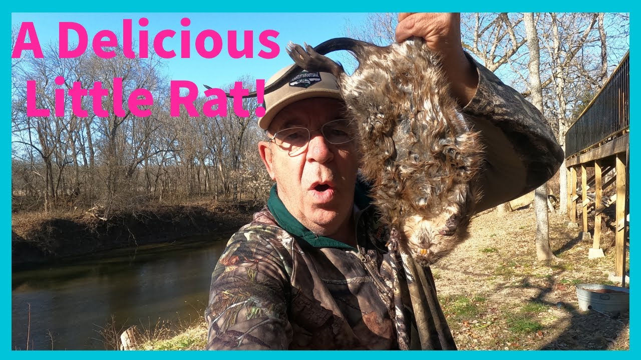 Smoked Rat Musk Be Delicious! - YouTube
