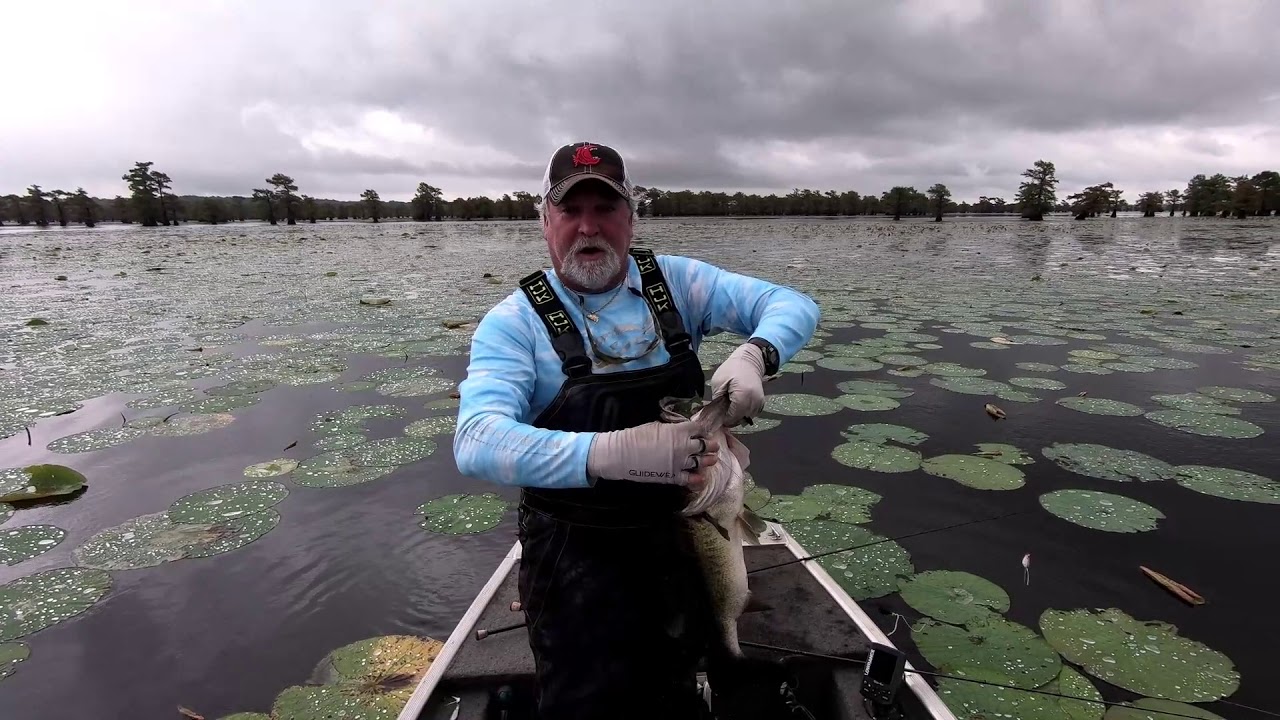 Mark Allen Fishing Caddo Lake - YouTube