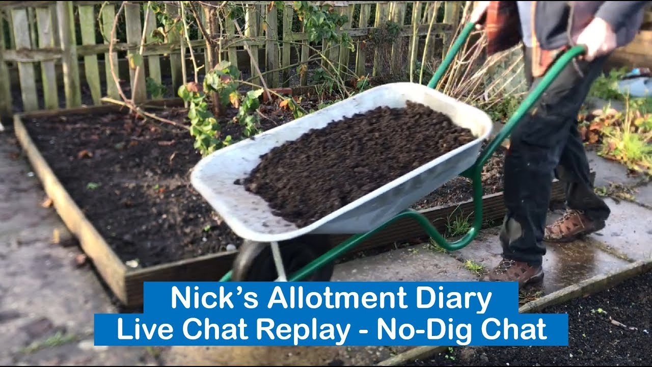 No-Dig Chat Live Replay - YouTube