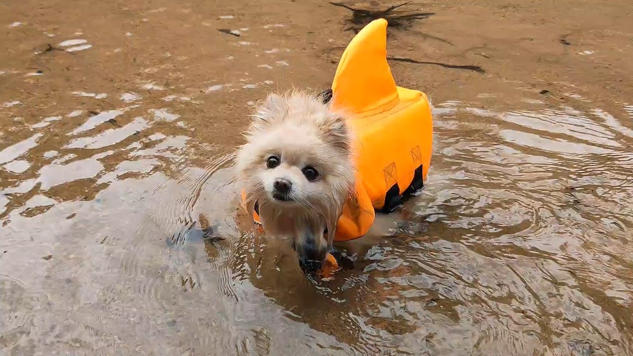 Weekend Getaway to Upper Colo River | Australia Camping Adventures ...