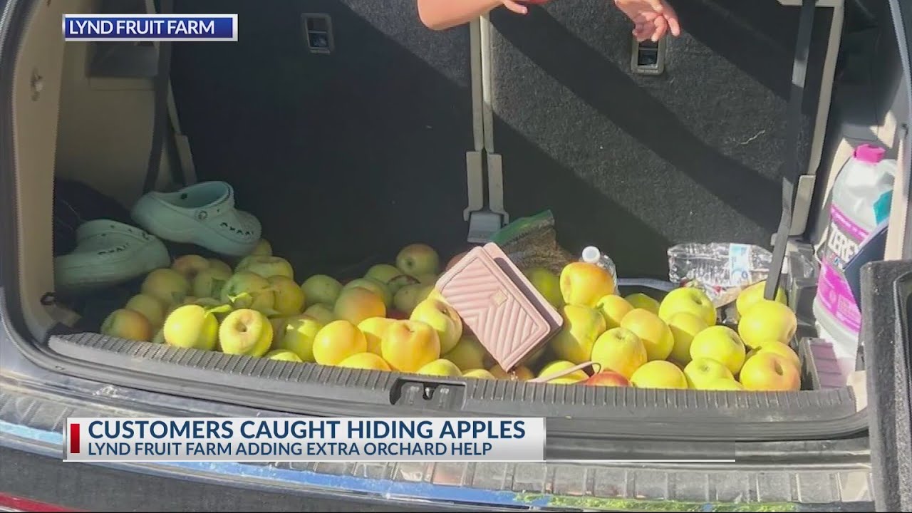 Customers caught stealing apples from central Ohio orchard - YouTube
