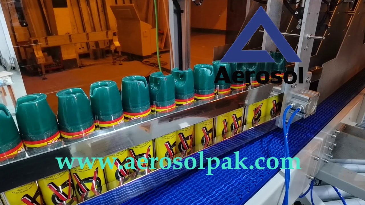 Automatic Case Packing Machine 52mm Cans 6x8 - YouTube