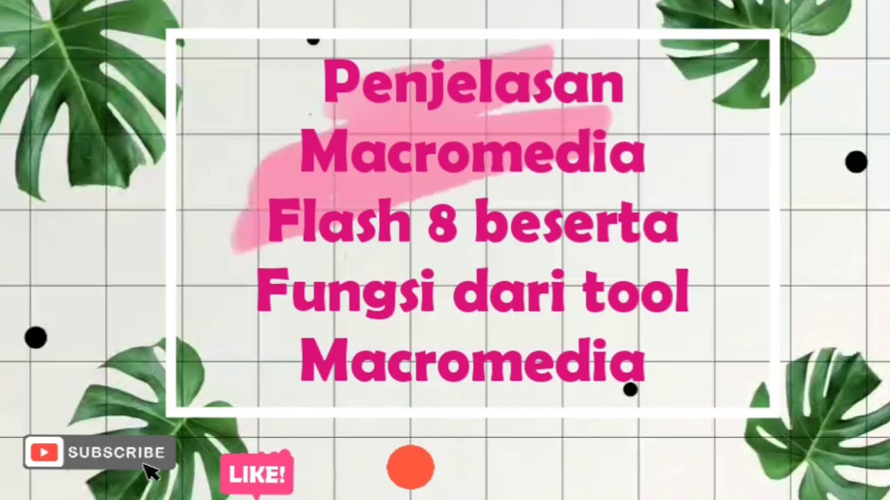 Penjelasan Macromedia Flash 8 beserta Fungsi dari tool Macromedia - YouTube