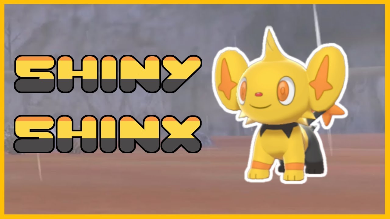 Our Golden Girl is finally here!! LIVE Shiny Shinx - Pokemon Sword ...