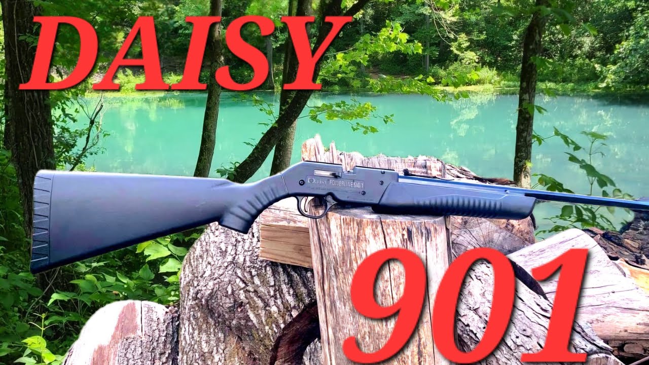 Dasiy 901 vs Gross mayo - YouTube