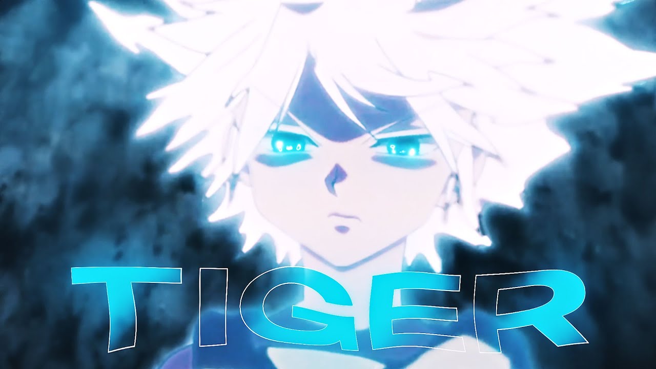Tiger 』Hunter x Hunter「AMV/EDIT」4k - YouTube
