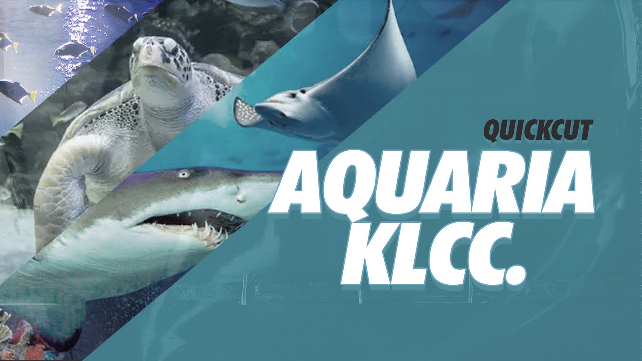 AQUARIA KLCC | Quickcut | Lomo - YouTube