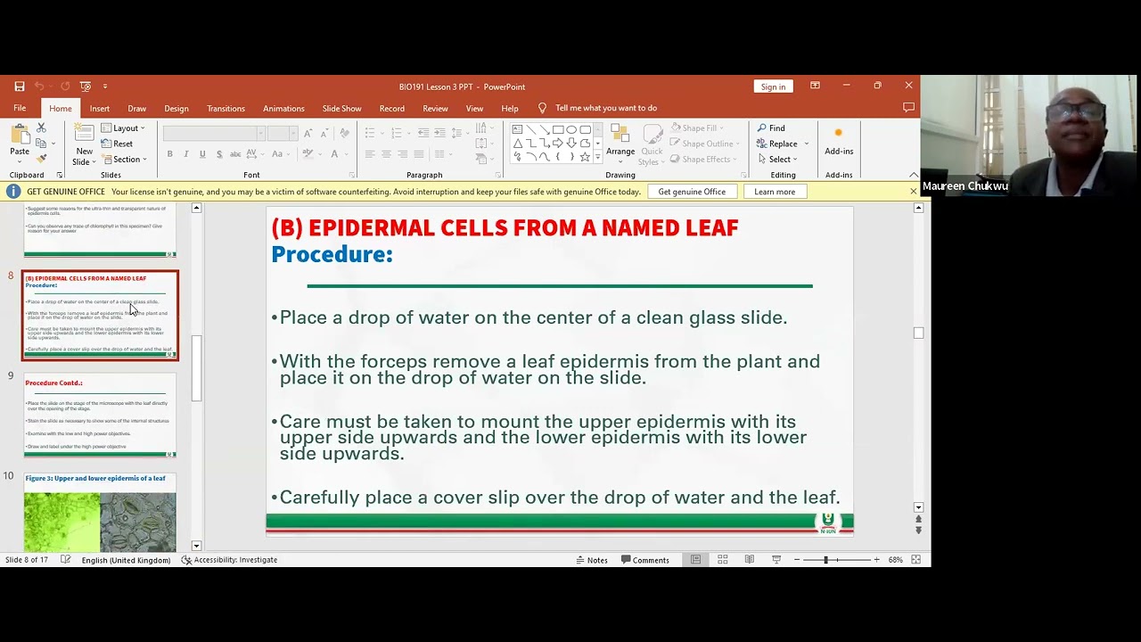 BIO191 preparation of temporary slide - YouTube