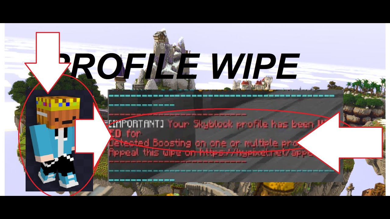 POV: Your skyblock profile gets Wiped - YouTube