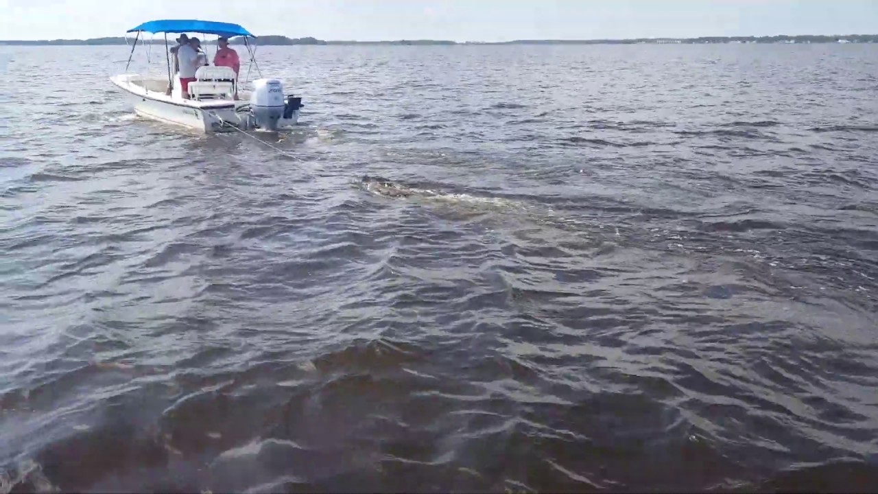 Hazard To Boats, ICW "Deadhead" Removed by 'Good Samaritan's' - YouTube