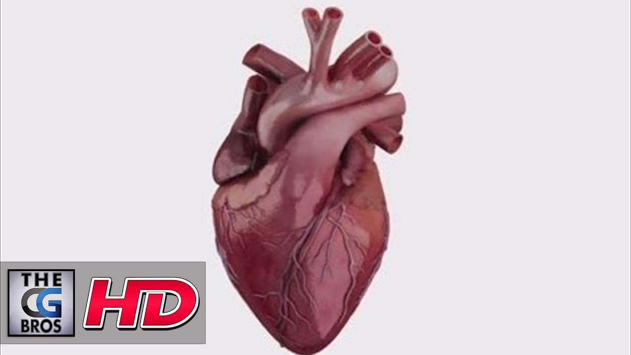 CGI 3D Tech Demo : "Heartworks - Heart" - by Glassworks VFX - YouTube