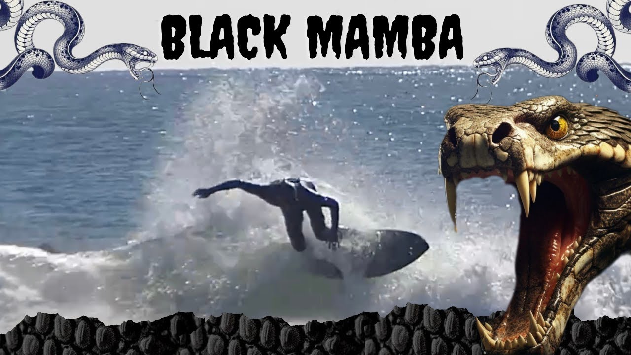 BLACK MAMBA パフォーマンス FISH 5’5 - YouTube