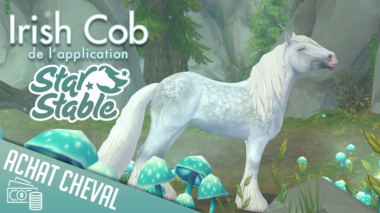 Achat de l'Irish Cob gris pommelé | Star Stable - SSO - YouTube