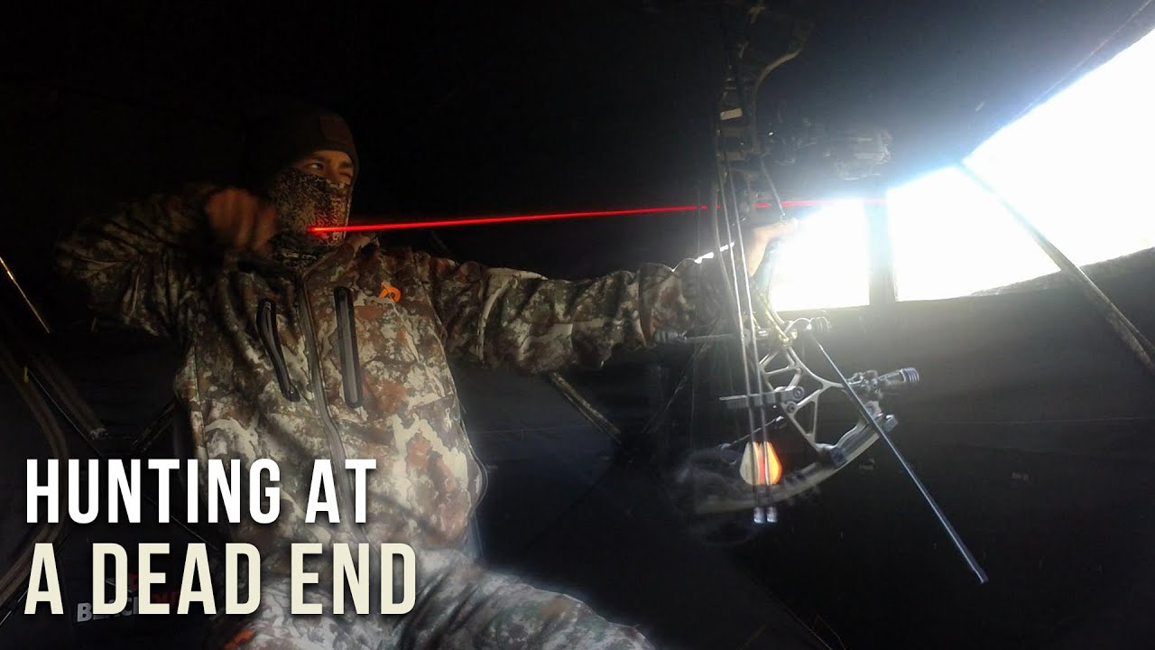 Whitetail Buck Ducks Arrow - YouTube