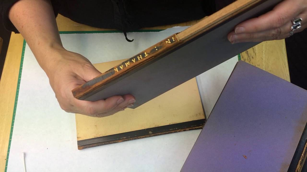 How to Identify and Treat Red Rot on Leather Books: When It’s Beyond ...