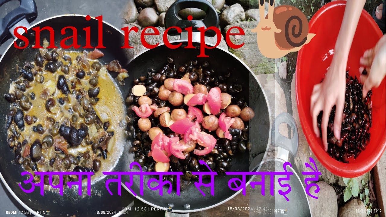 snail recipe|cooking with tomatoes and potatoes|Eating and cooking ...